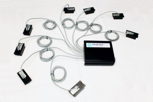 Tracking natural substance use with home-cage monitoring • PhenoSys